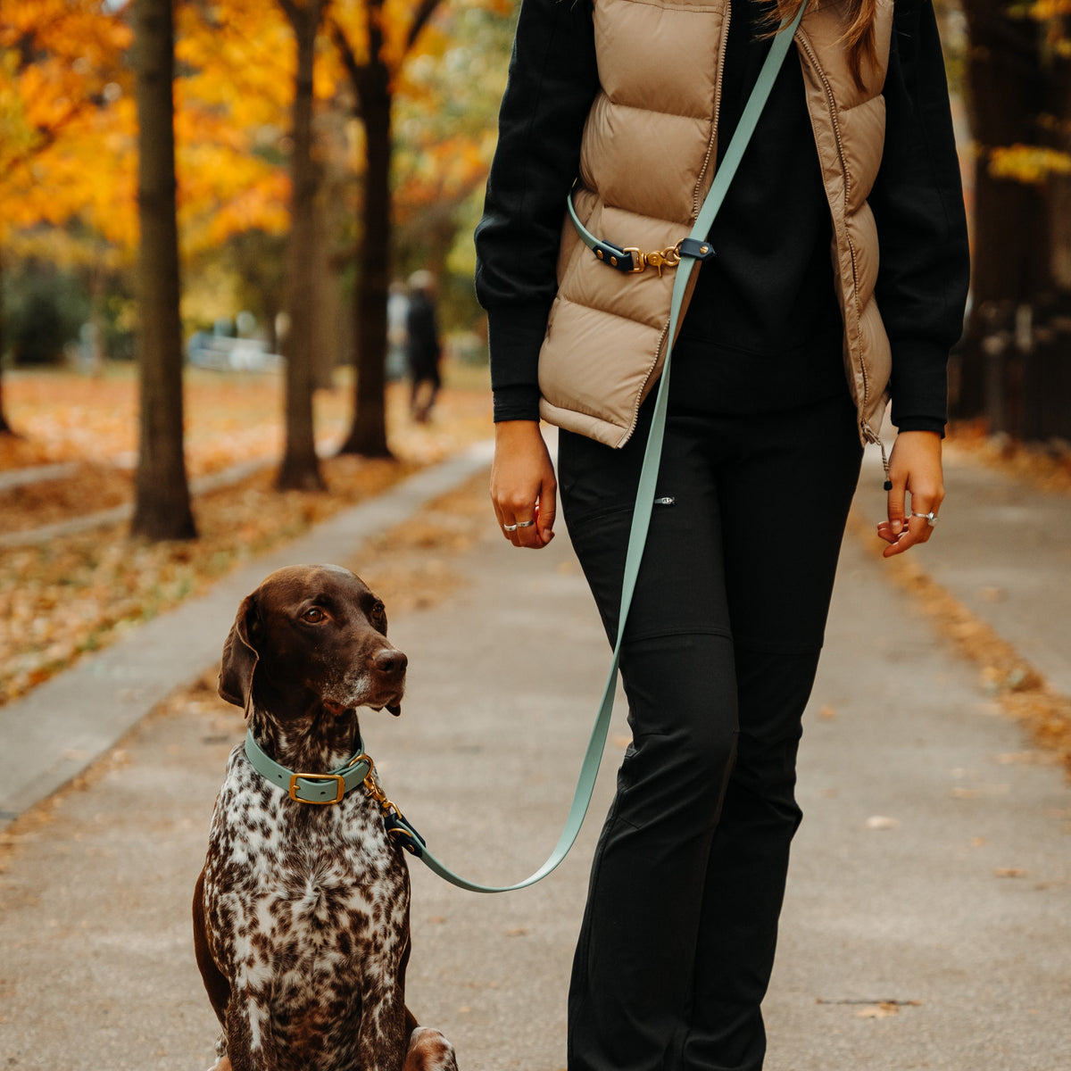 Hands Free Leash – GoodWolf