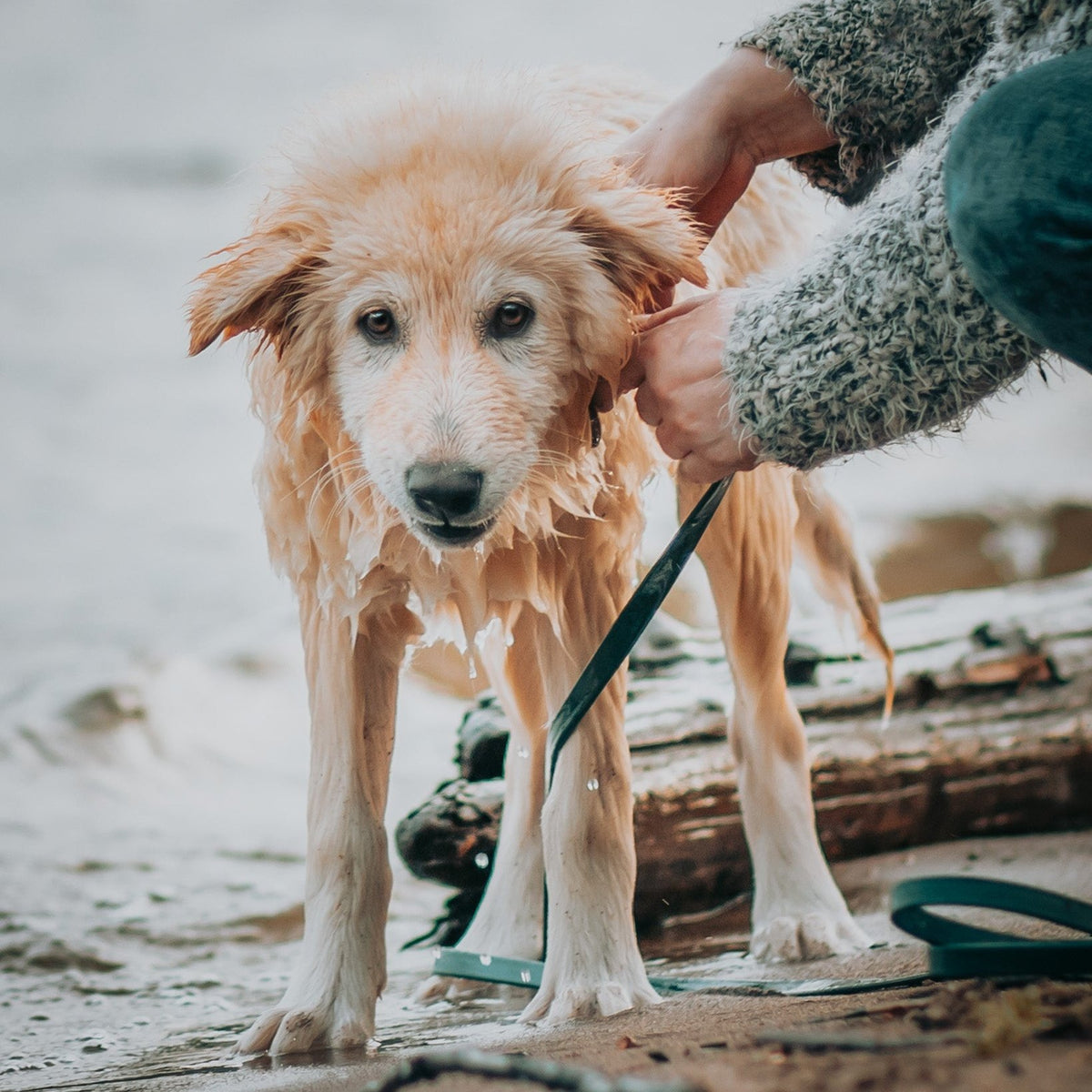 Long Line – GoodWolf