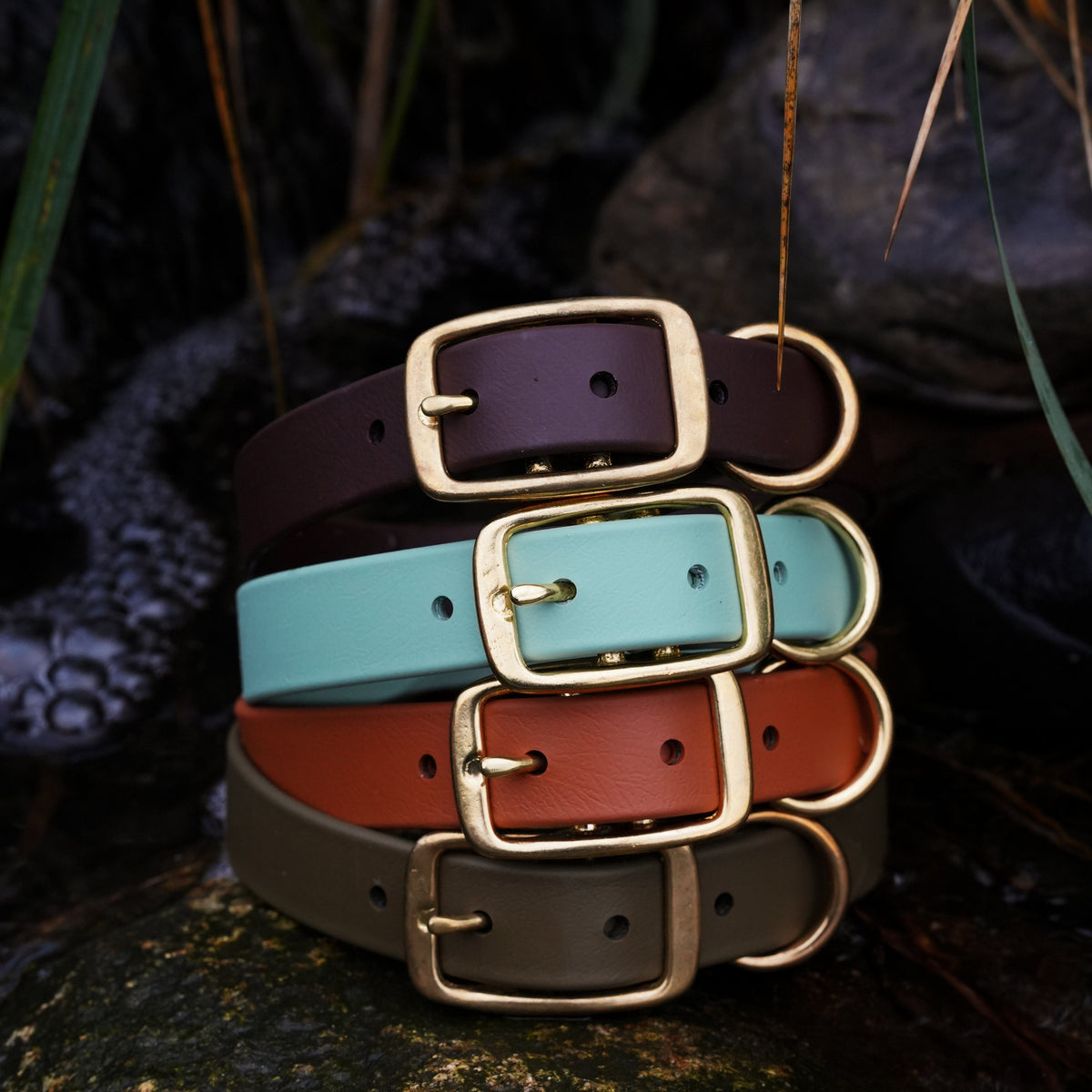 Waterproof Classic Buckle Collar – GoodWolf