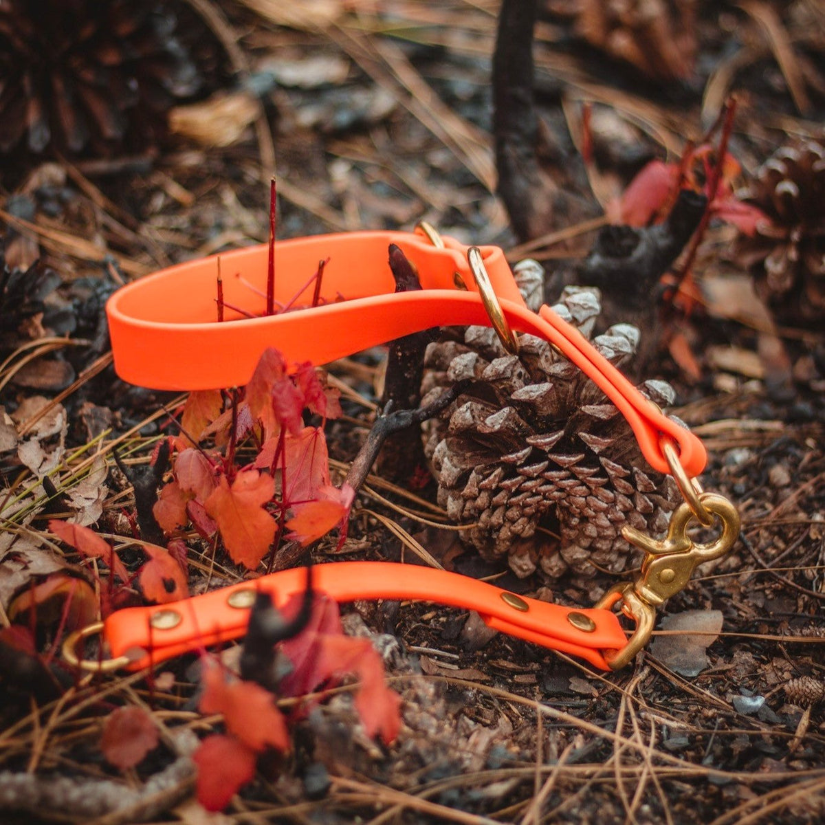 Grab Tab – GoodWolf