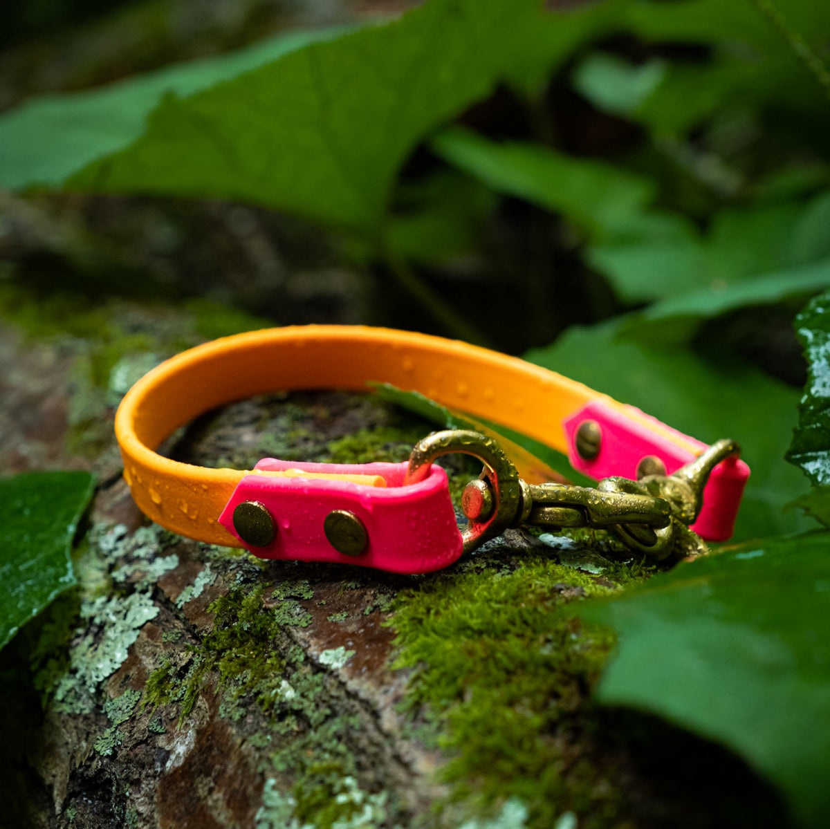 Waterproof Safety Strap Connection Leash – GoodWolf